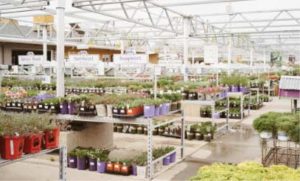 Nick's Garden Center & Farmers Market Serving Denver & Aurora