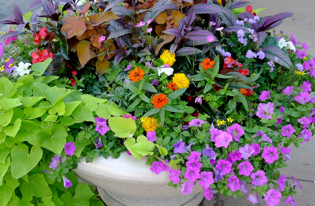 Time to Refresh Tired Containers - Nick's Garden Center